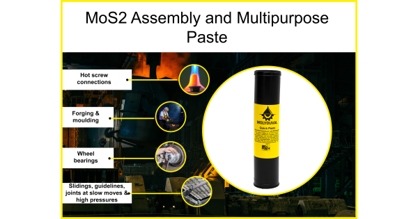 Quick Paste - Multipurpose Paste with MoS2